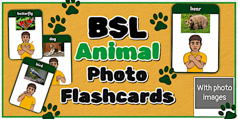 BSL Animals Display Bunting