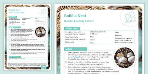 Build a Bird Nest Activity | The Big Garden Bird Watch