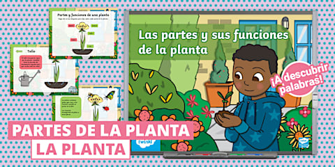 Powerpoint: ¡Pequeños Gigantes! Cómo las plantas y animales cambian el ...