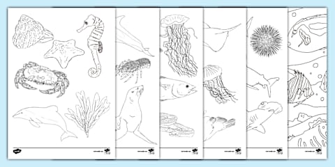 Twinkl and Tonies: Under the Sea Colouring Pages - Twinkl Originals ...