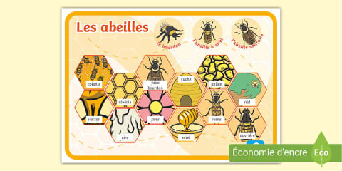 All About Bees Differentiated Reading Comprehension French