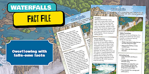 The Habitat Expert: Habitat and Food Chain Leaflet Project Rubric