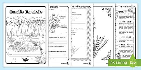 Harakeke Use Timeline | Harakeke Facts Timeine