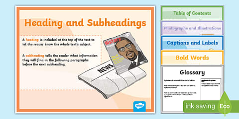 Third Grade Using Text Features Assessment
