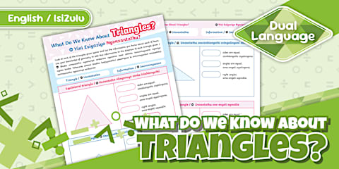 Grade 7 Maths - Term 1 - Geometry of Straight Lines Posters - IsiZulu ...