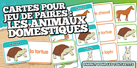 Les animaux domestiques - Qui suis-je