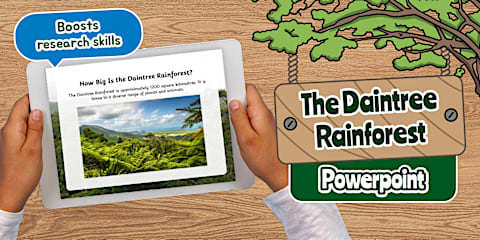 Daintree Rainforest Food Web Poster
