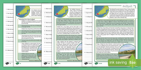 World War I: Reading Comprehension Activity
