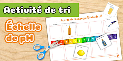 SEE (Identity and Heritage) Beliefs Around the World PowerPoint (5th ...