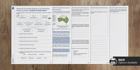 Daintree Rainforest Food Chains and Food Webs Activity
