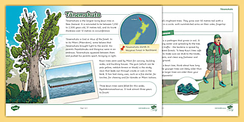 Tāwhirimātea God of Weather Story Cards