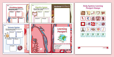 Human Body Systems Interactive Quiz