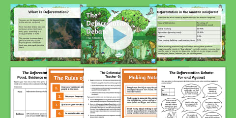 The Effects of Deforestation in The Amazon Rainforest Writing Worksheet