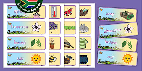 Preschool- Summer Holidays: Word Cards