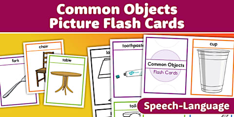 Identical and Nonidentical Matching Cards and Sorting Mats for Special ...