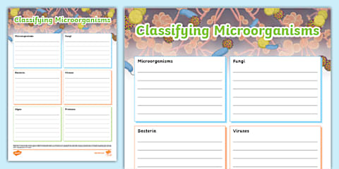 Microorganisms Mind Map