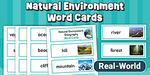 Landforms Word & Picture Matching Cards for 1st-2nd Grade