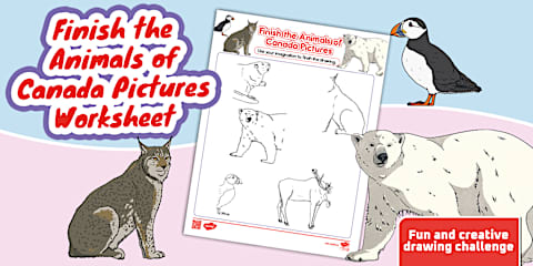 Animals of Canada Cutting Skills Activity
