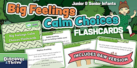 Wellbeing (Emotional and Relational Education) Big Feelings Calm ...