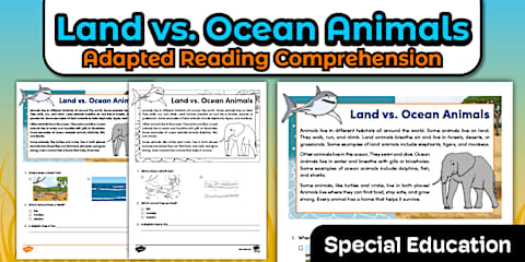 Second Grade Seahorses Reading Comprehension Worksheet