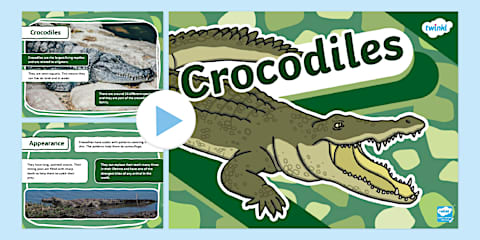 Australia's Crocodiles PowerPoint