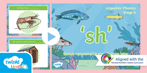 Grade 3 sh- -sh Interactive Phonics Go! Game