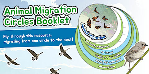 Animal Migration Research Worksheet