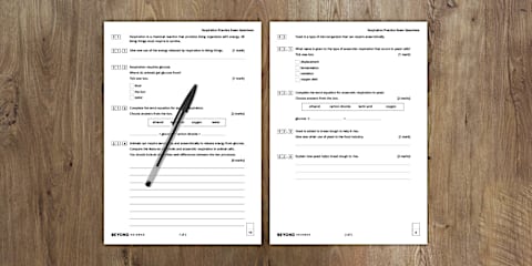 Anaerobic Respiration in Humans Gap Fill Worksheet