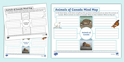 Wild Animals of Canada Mind Map