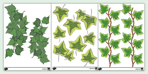 A4 Green Leaves Cut-Outs