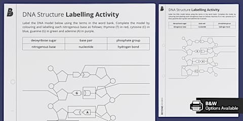 Atomic Structure and The Periodic Table: How Atomic Properties ...