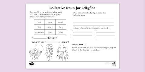 Describe the Jellyfish Writing Activity