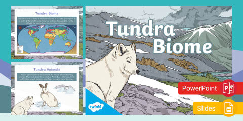Grassland Biome PowerPoint & Google Slides for 3rd-5th Grade