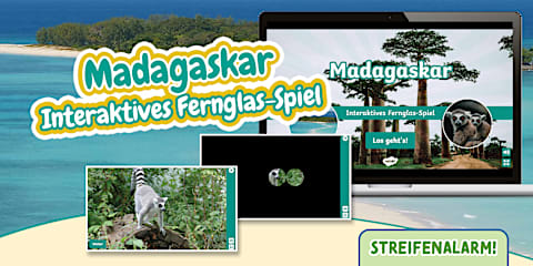 Dinosaurier - Interaktives Drei-in-einer-Reihe-Spiel