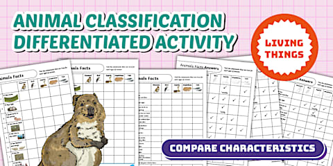 Classification of Vertebrates Animal Cards