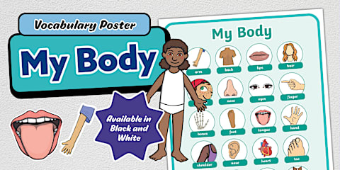 Parts of the Body Word Flash Cards