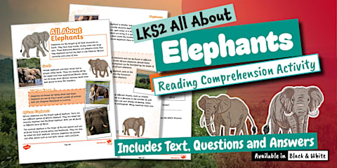 All About Elephants Differentiated Fact File