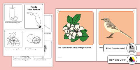 All About Florida Trace & Color Printable Book for K-1st Grade