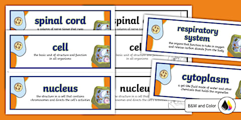 Cell Vocabulary Word Search for 6th-8th Grade
