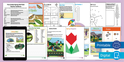 First Grade Editable Three-Day Emergency Substitute Plan