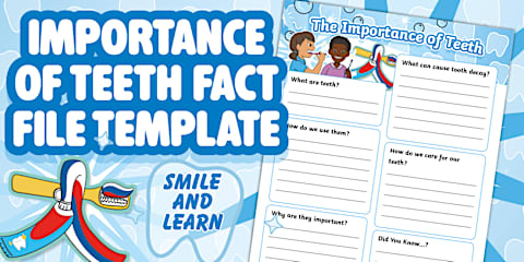 10 Interesting Facts About Aeroplanes Worksheet