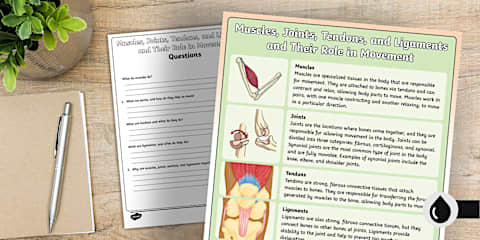 Musculoskeletal System PowerPoint and Google Slides for 6th-8th Grade