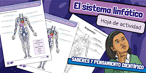 Mini libro: Mi alimentación y mi comunidad