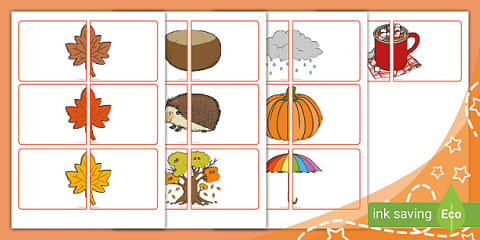 Autumn Leaves Sorting Chart
