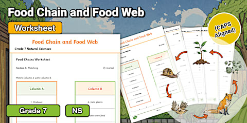 Grade 7 - NS - Ecosystems Worksheet (CAPS Aligned)