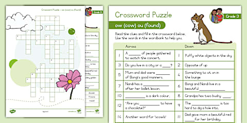 Grade 3 Phonics ow (cow) ou (found): Differentiated Worksheets