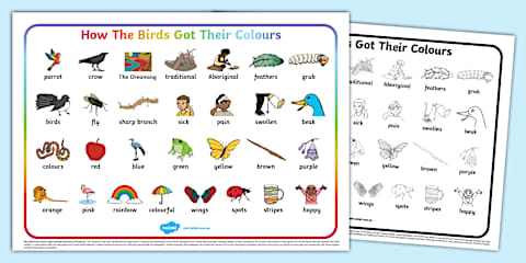 Aboriginal Dreaming Story: How the Birds Got Their Colours Colouring Pages