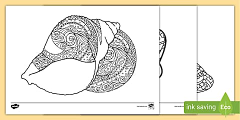 Seashell Colouring Page
