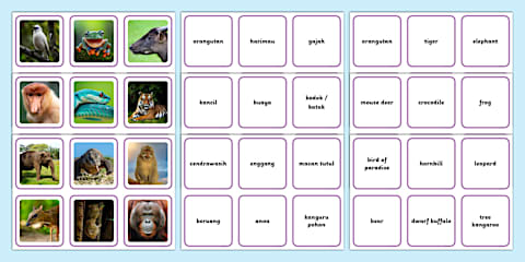 Indonesian Animals Activity Pack - Indonesian