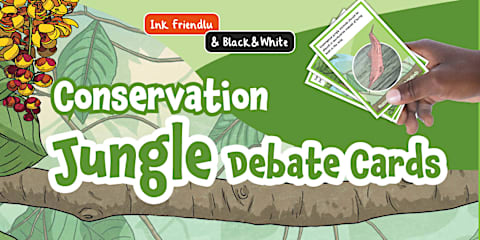 Grade 4 English – Term 3 Environment and Conservation in South Africa ...